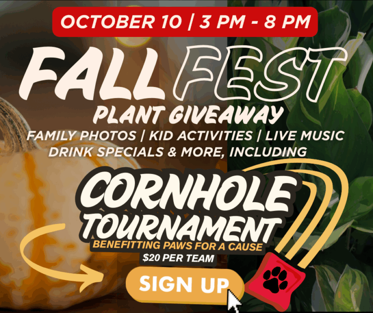 FOOD MENU - The Score